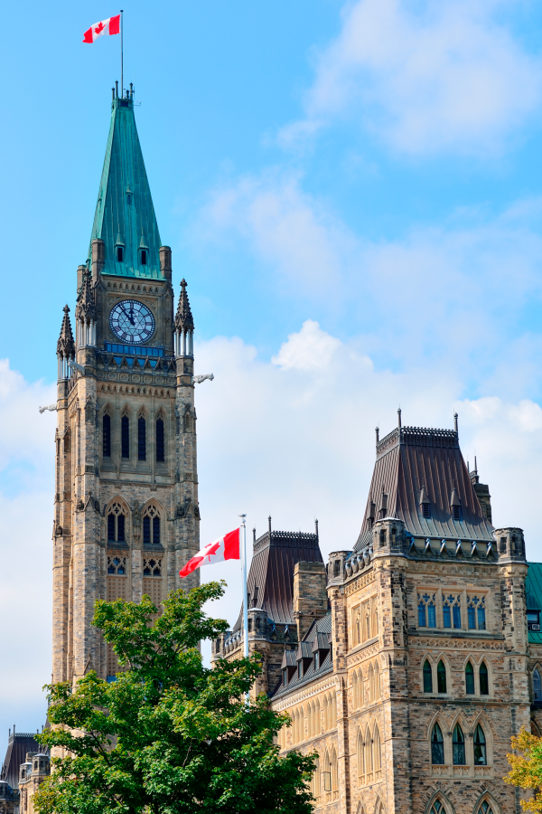 Quebec Professional Corporation | Canada Incorporation Agency